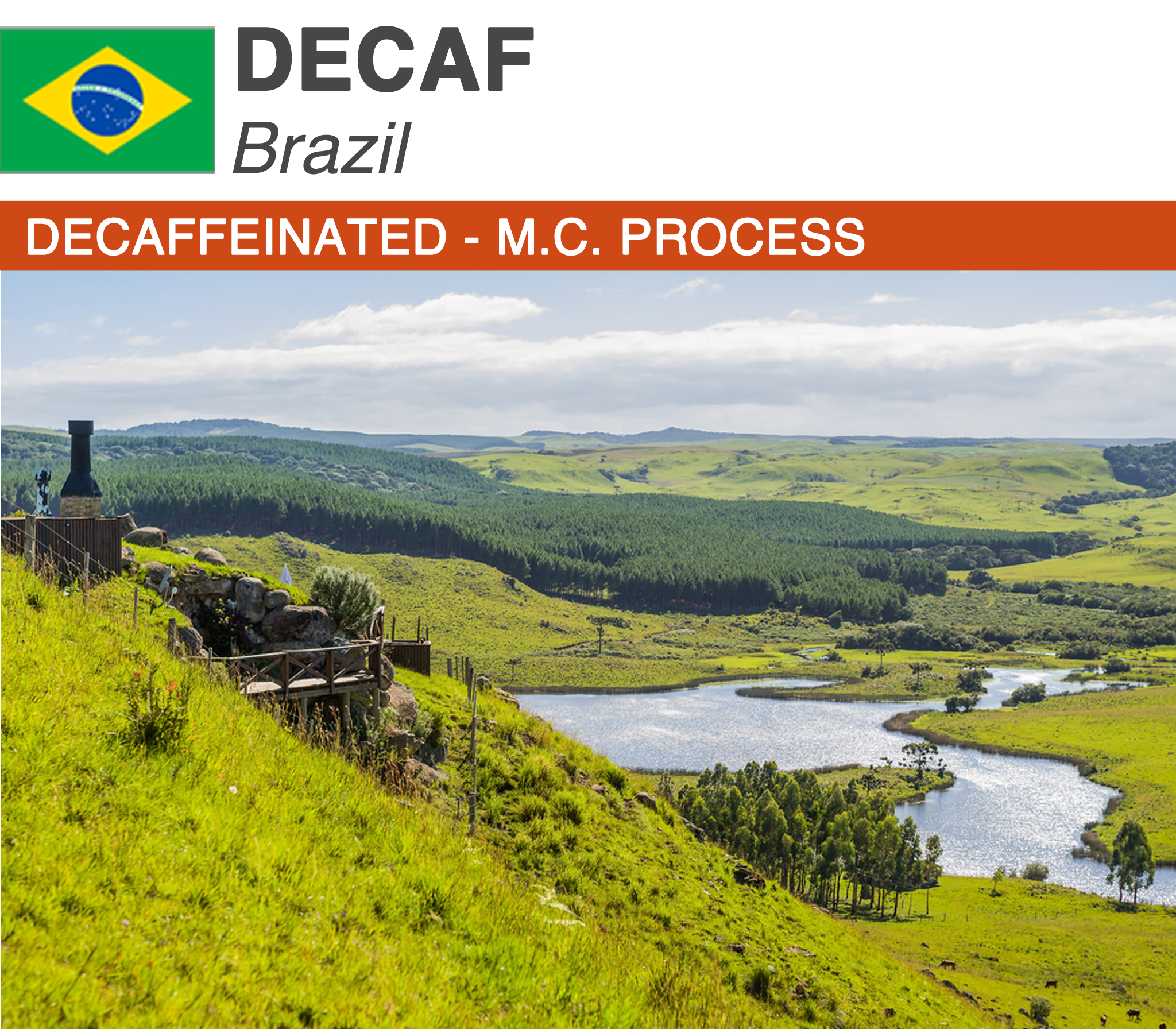 Bulk Unroasted Coffee Beans | Wholesale Origin